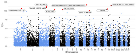 Genome-Wide SNP Analysis for Milk Performance Traits in Indigenous ...