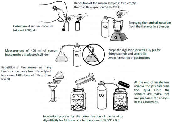 Ruminal Fistulation and Cannulation: A Necessary Procedure for the ...