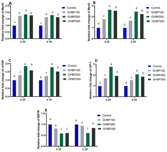 Animals | Special Issue : The Myostatin Gene: Future Challenges in ...