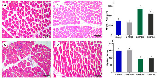 Animals | Special Issue : The Myostatin Gene: Future Challenges in ...