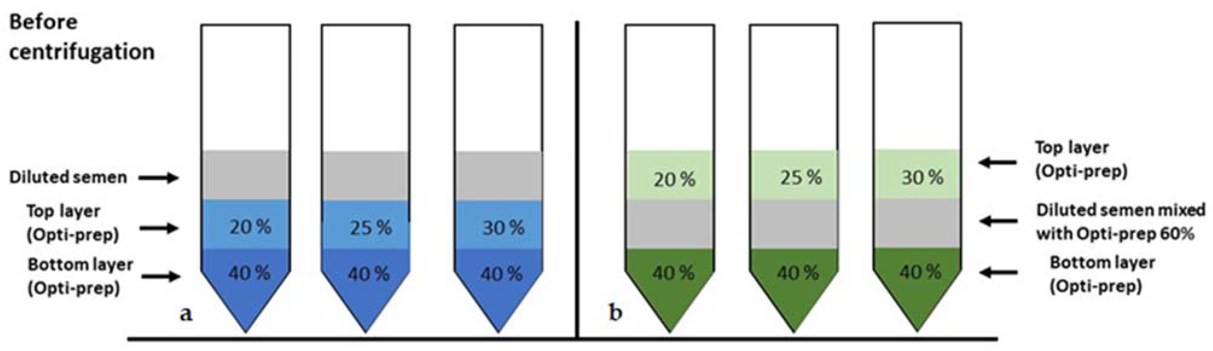 A Modified Flotation Density Gradient Centrifugation Technique Improves ...