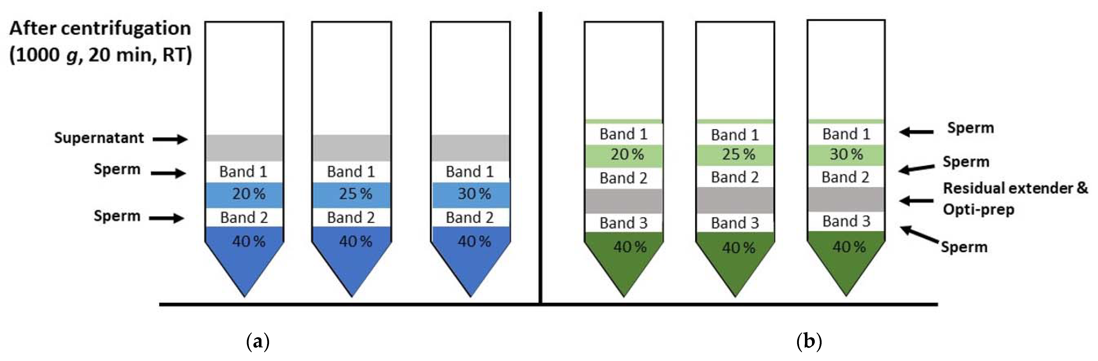 A Modified Flotation Density Gradient Centrifugation Technique Improves ...