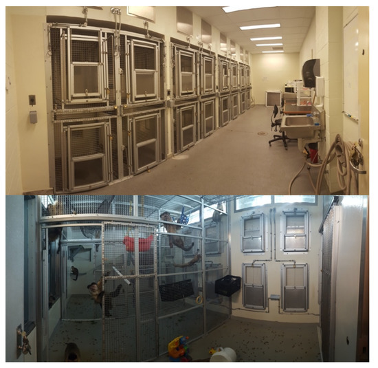 Individualized Target Training Facilitated Transfer of Group Housed ...