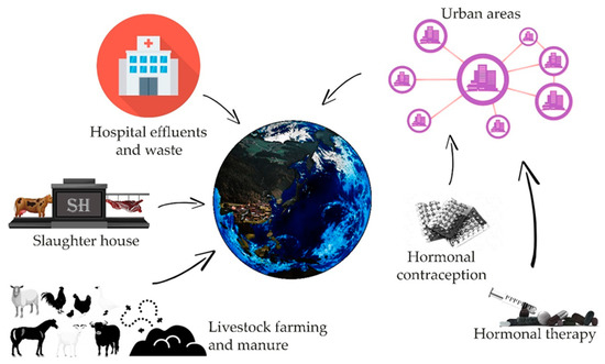 Impact of Estrogens Present in Environment on Health and Welfare of Animals