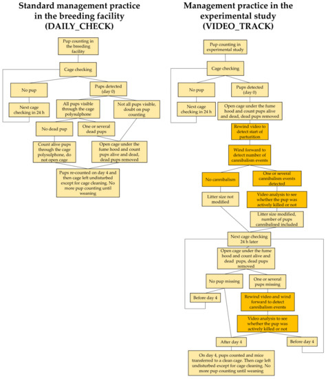 All the Pups We Cannot See: Cannibalism Masks Perinatal Death in ...
