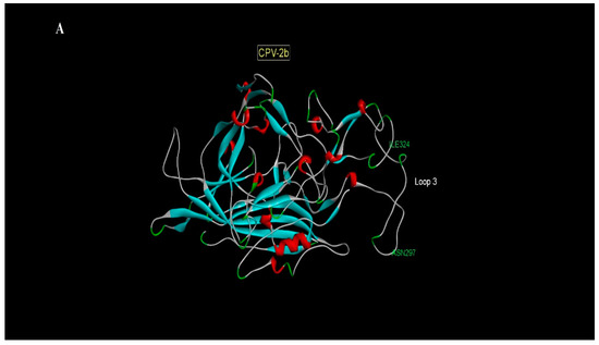 Molecular Analysis of Full-Length VP2 of Canine Parvovirus Reveals ...