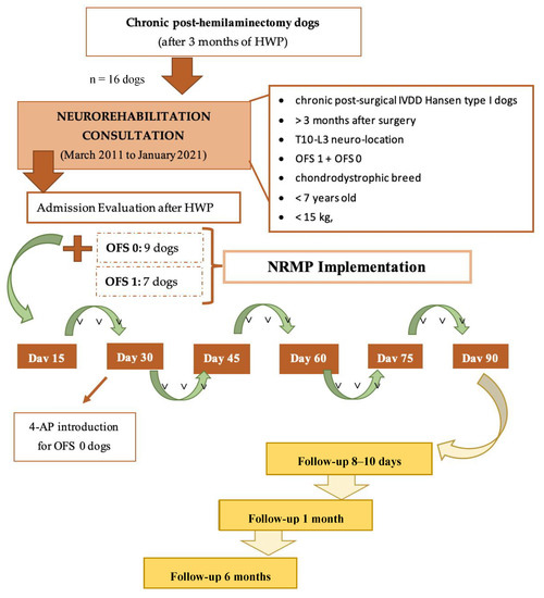 Functional Neurorehabilitation in Dogs with an Incomplete Recovery 3 ...