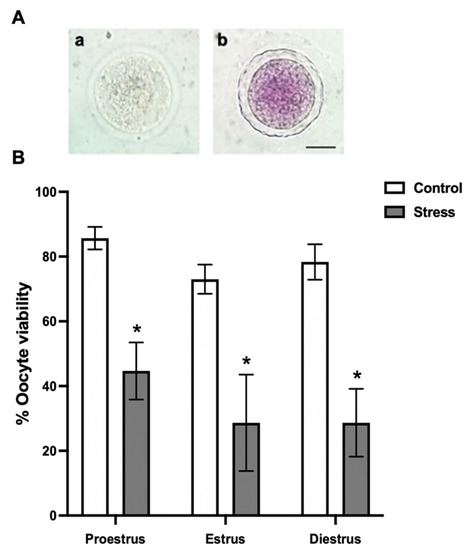 Chronic Stress Detrimentally Affects In Vivo Maturation in Rat Oocytes ...
