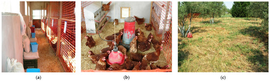 Animals | Topical Collection : Recent Advances in Poultry Nutrition and ...