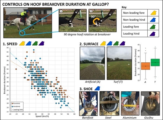 Animals | Free Full-Text | Influence of Speed, Ground Surface and ...