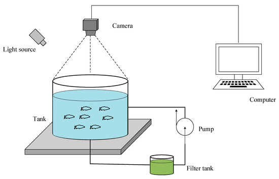 Automatic Recognition of Fish Behavior with a Fusion of RGB and Optical ...