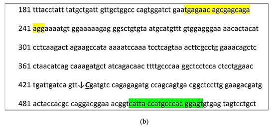 Genetic Variations and Haplotypic Diversity in the Myostatin Gene of ...