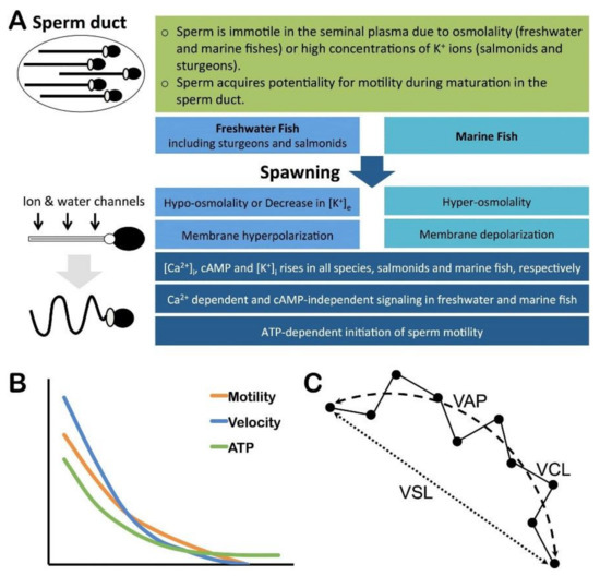A Review on Environmental Contaminants-Related Fertility Threat in Male ...