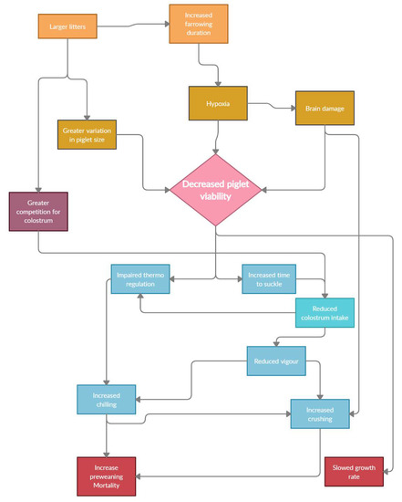 Animals | Free Full-Text | Piglet Viability: A Review of Identification ...