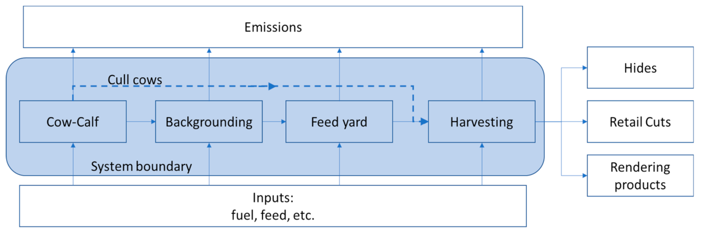 Analysis of Life Cycle Environmental Impacts of Using Enogen Corn in ...