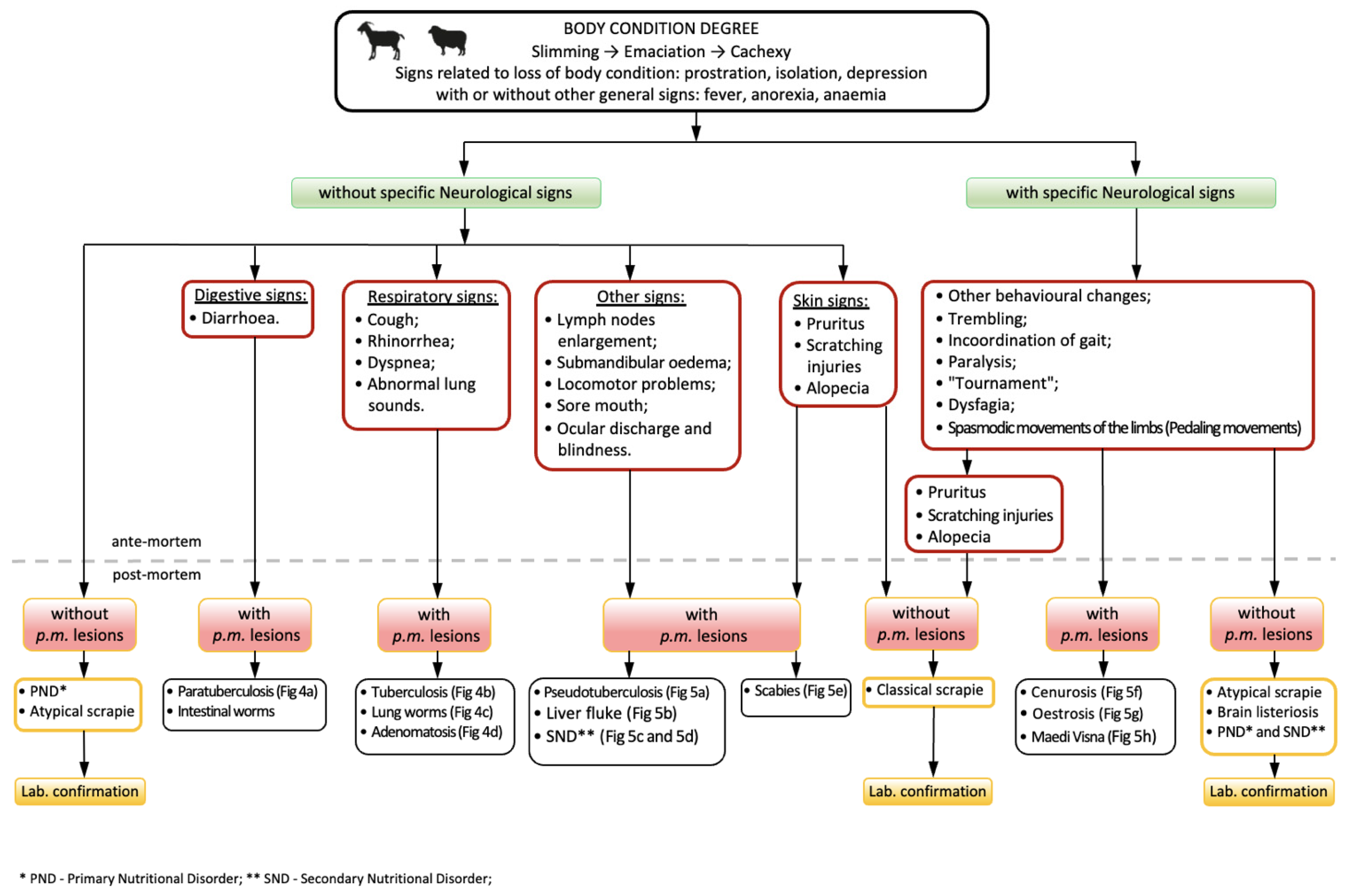 Scrapie at Abattoir: Monitoring, Control, and Differential Diagnosis of ...