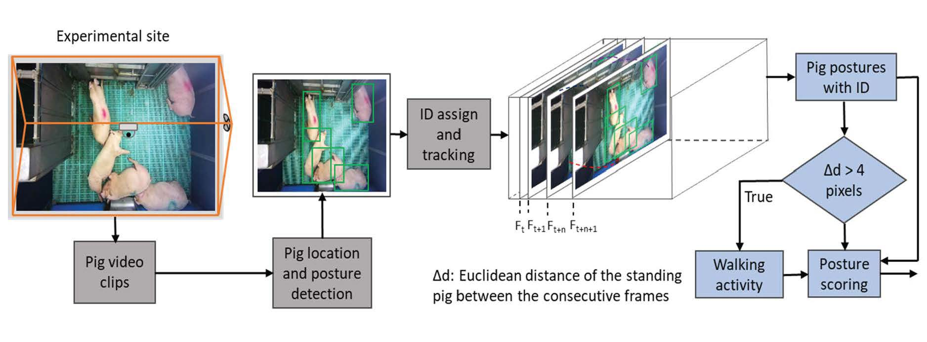 Animals | Free Full-Text | Deep-Learning-Based Automatic Monitoring of ...