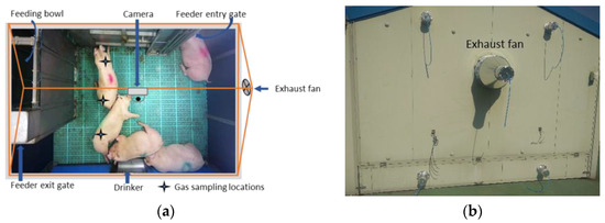 Deep-Learning-Based Automatic Monitoring of Pigs’ Physico-Temporal ...