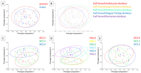 Characteristics of the Donkey’s Dorsal Profile in Relation to Its Functional Body Condition ...
