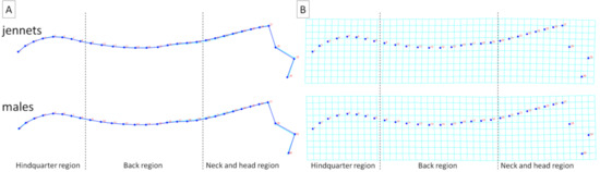 Characteristics of the Donkey’s Dorsal Profile in Relation to Its Functional Body Condition ...