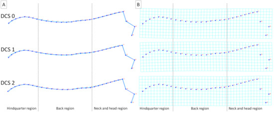 Characteristics of the Donkey’s Dorsal Profile in Relation to Its Functional Body Condition ...