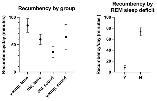 Recumbency as an Equine Welfare Indicator in Geriatric Horses and ...