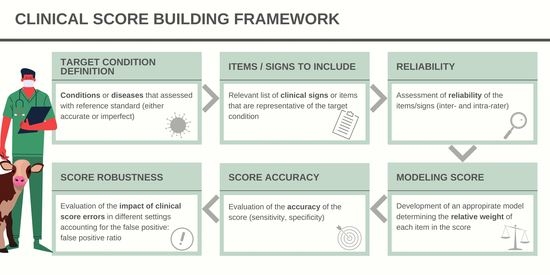 Animals | Free Full-Text | Clinical Scores in Veterinary Medicine: What ...