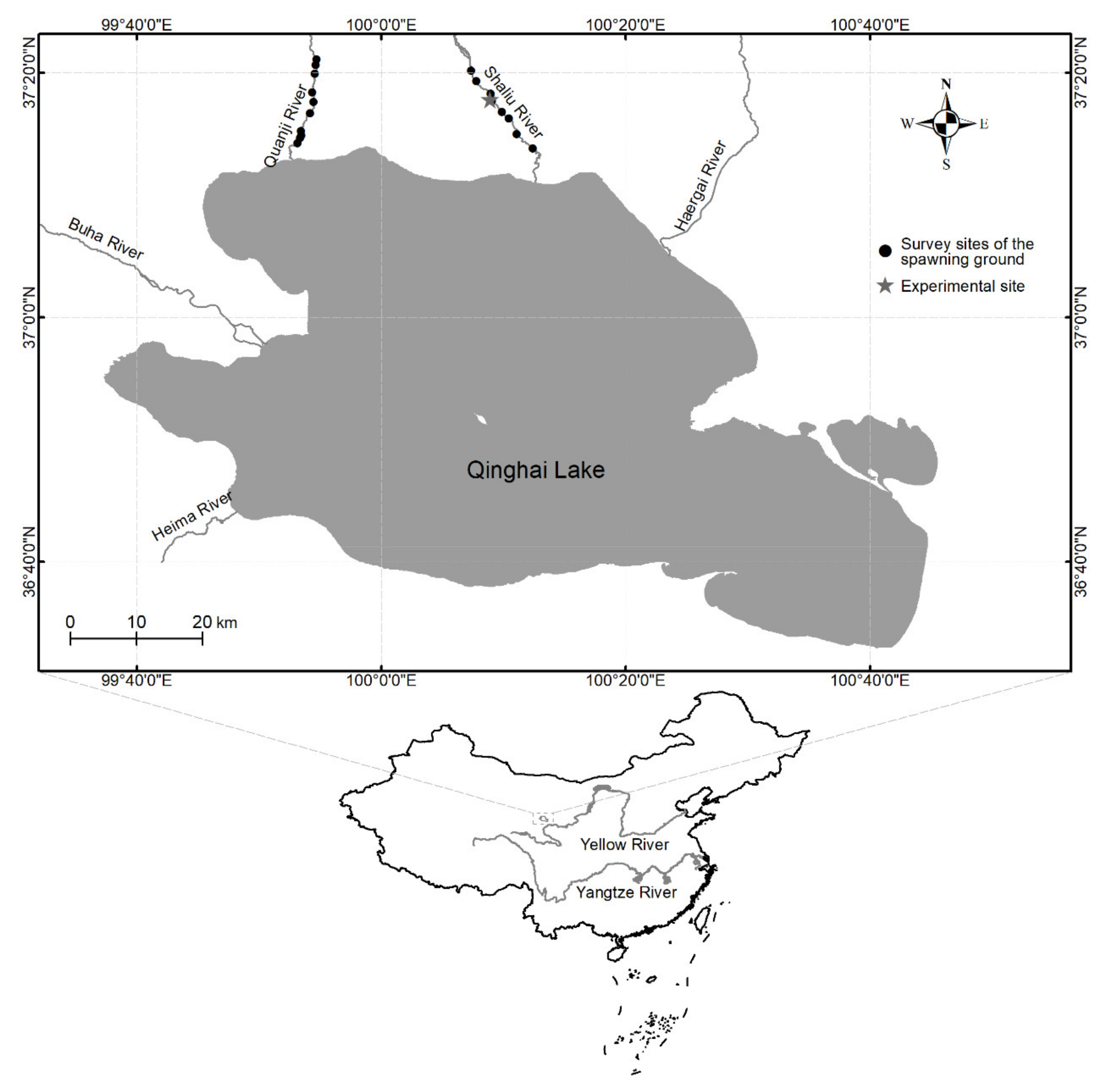 Riverbed Substrate Requirements for Natural Reproduction of Gymnocypris ...
