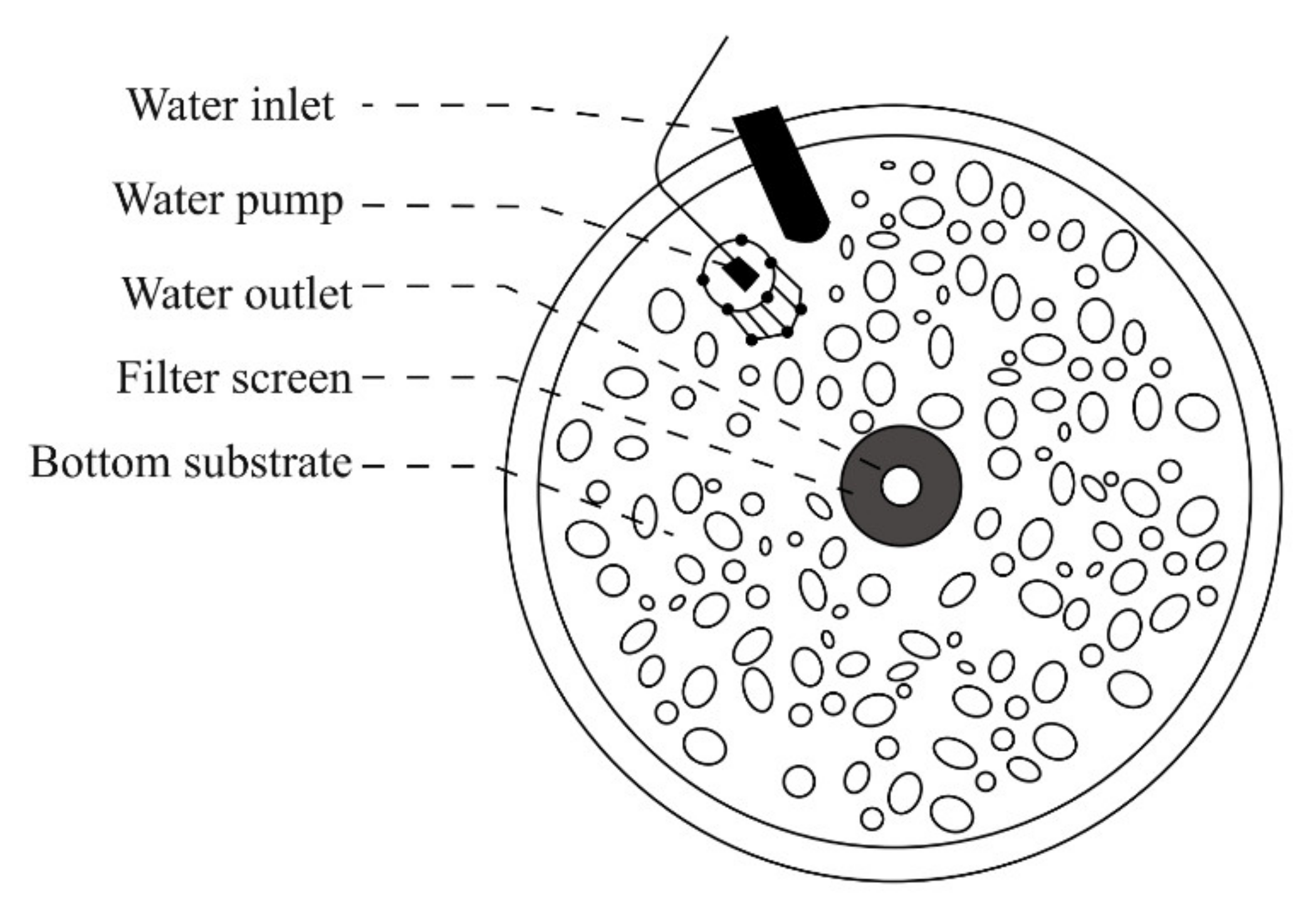 Riverbed Substrate Requirements for Natural Reproduction of Gymnocypris ...
