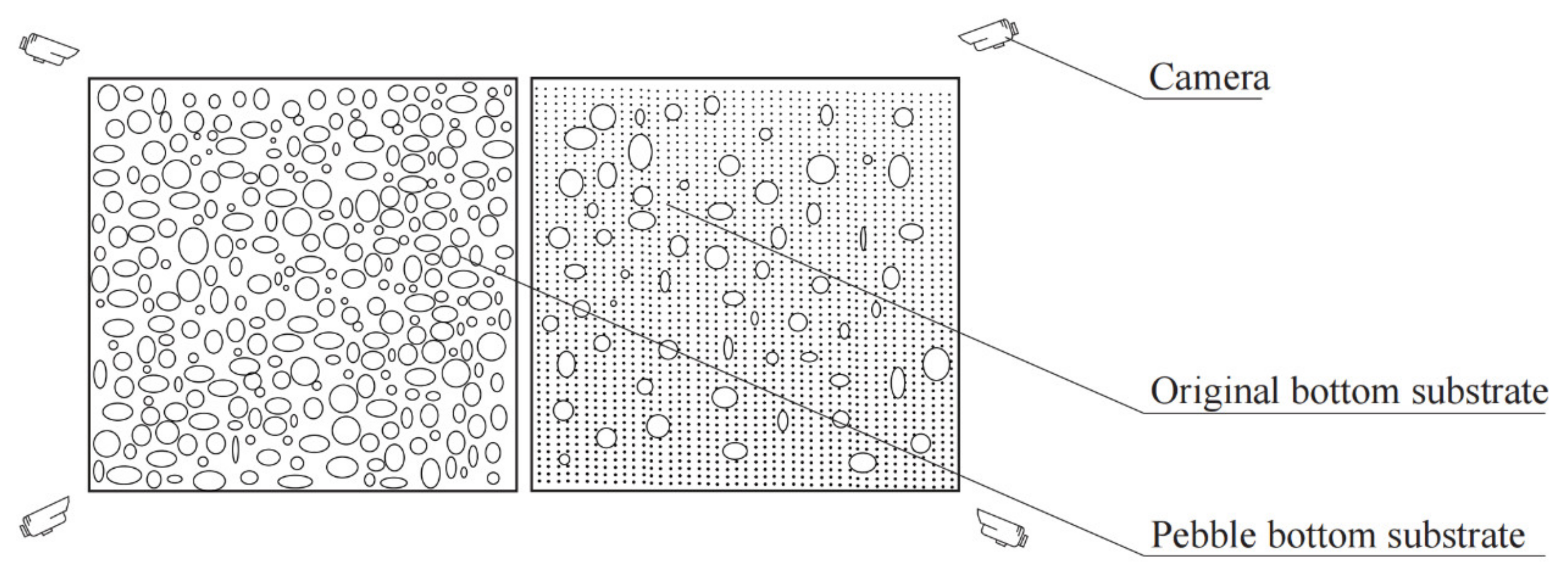 Riverbed Substrate Requirements for Natural Reproduction of Gymnocypris ...