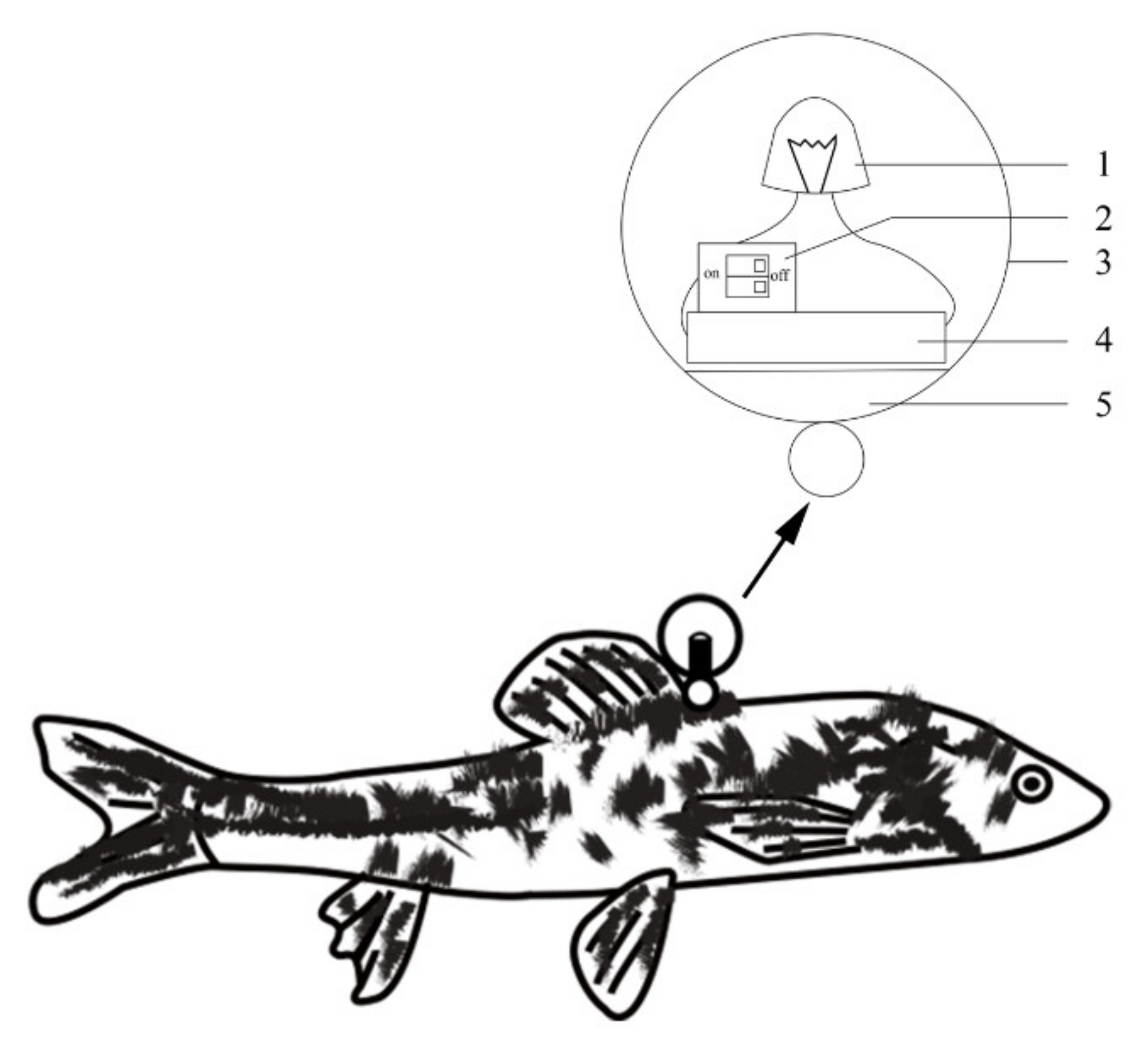 Riverbed Substrate Requirements for Natural Reproduction of Gymnocypris ...