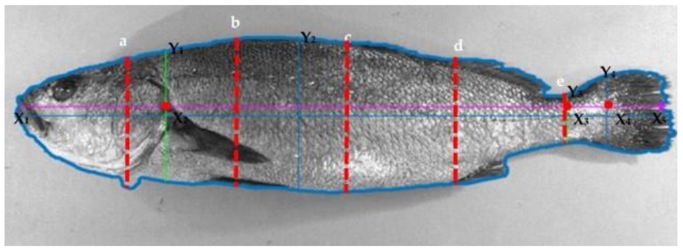 Animals | Free Full-Text | Phenotypic and Genetic Components for Growth ...