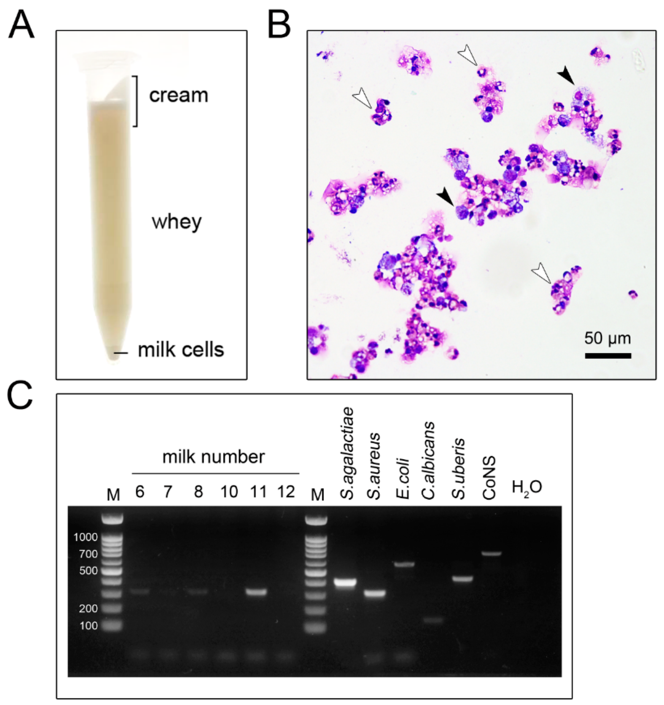 Flowjo 10 offset - lasemage