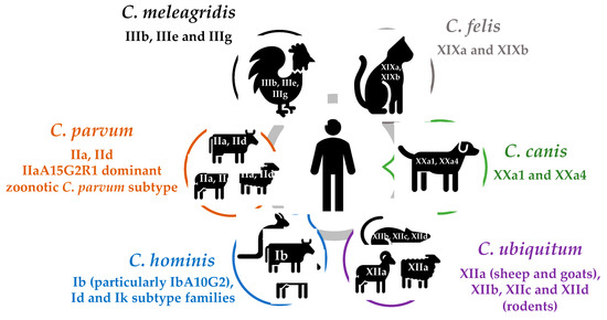 An Update on Zoonotic Cryptosporidium Species and Genotypes in Humans