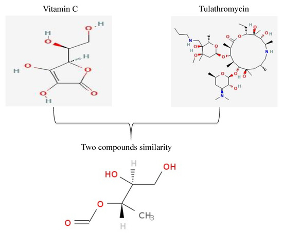 Animals | Free Full-Text | Immunomodulatory Effect of Vitamin C on ...