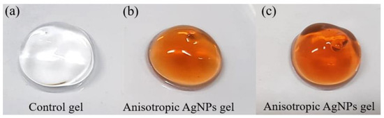 Animals | Topical Collection : Nanotechnology in Animal Science