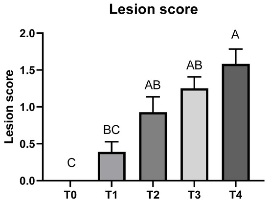 Effects of Eimeria tenella Infection on Key Parameters for Feed ...