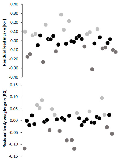 How Divergence for Feed Efficiency Traits Affects Body Measurements and ...