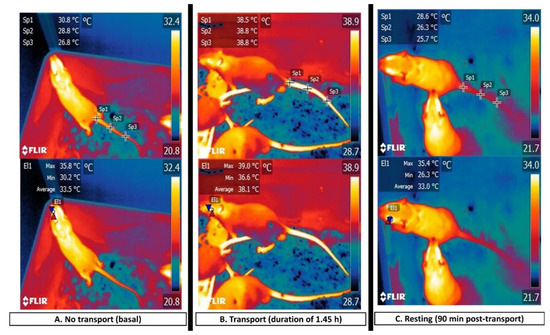 Experimental Applications and Factors Involved in Validating Thermal ...