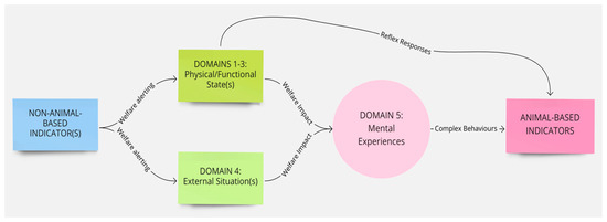 Animals | Free Full-Text | Two Domains to Five: Advancing Veterinary ...