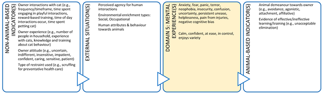 Animals | Free Full-Text | Two Domains to Five: Advancing Veterinary ...