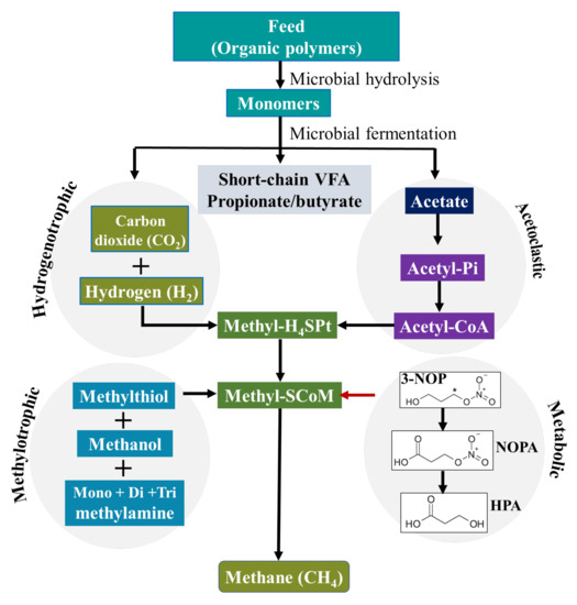 Animals | Free Full-Text | A Review of 3-Nitrooxypropanol for Enteric Methane Mitigation from ...