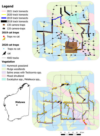 Two Methods of Monitoring Cats at a Landscape-Scale