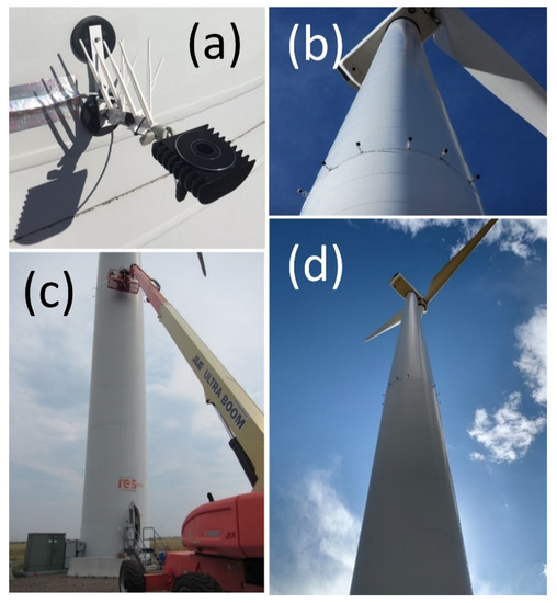 Influencing Activity of Bats by Dimly Lighting Wind Turbine Surfaces ...