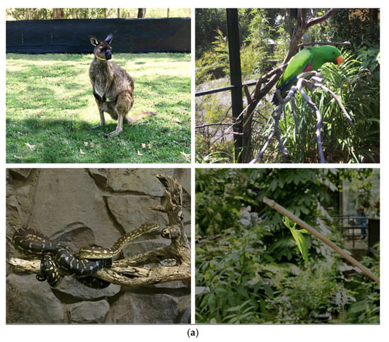 Animals | Free Full-Text | Human Positioning in Close-Encounter ...