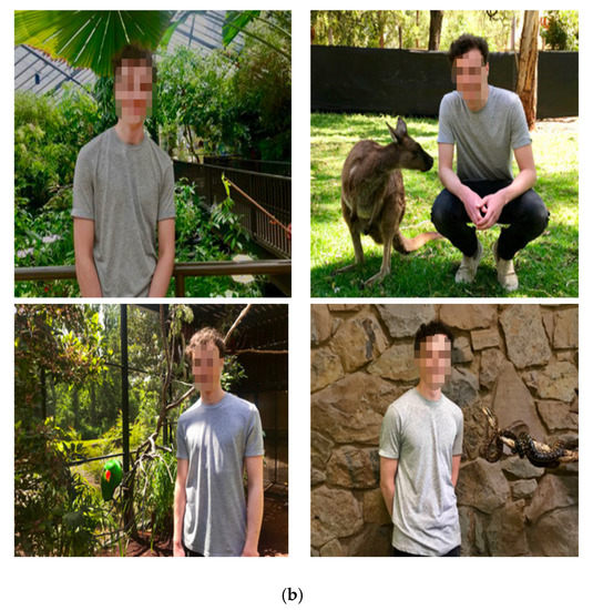 Animals | Free Full-Text | Human Positioning in Close-Encounter ...