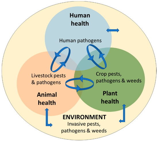 Biosecurity Concept: Origins, Evolution and Perspectives