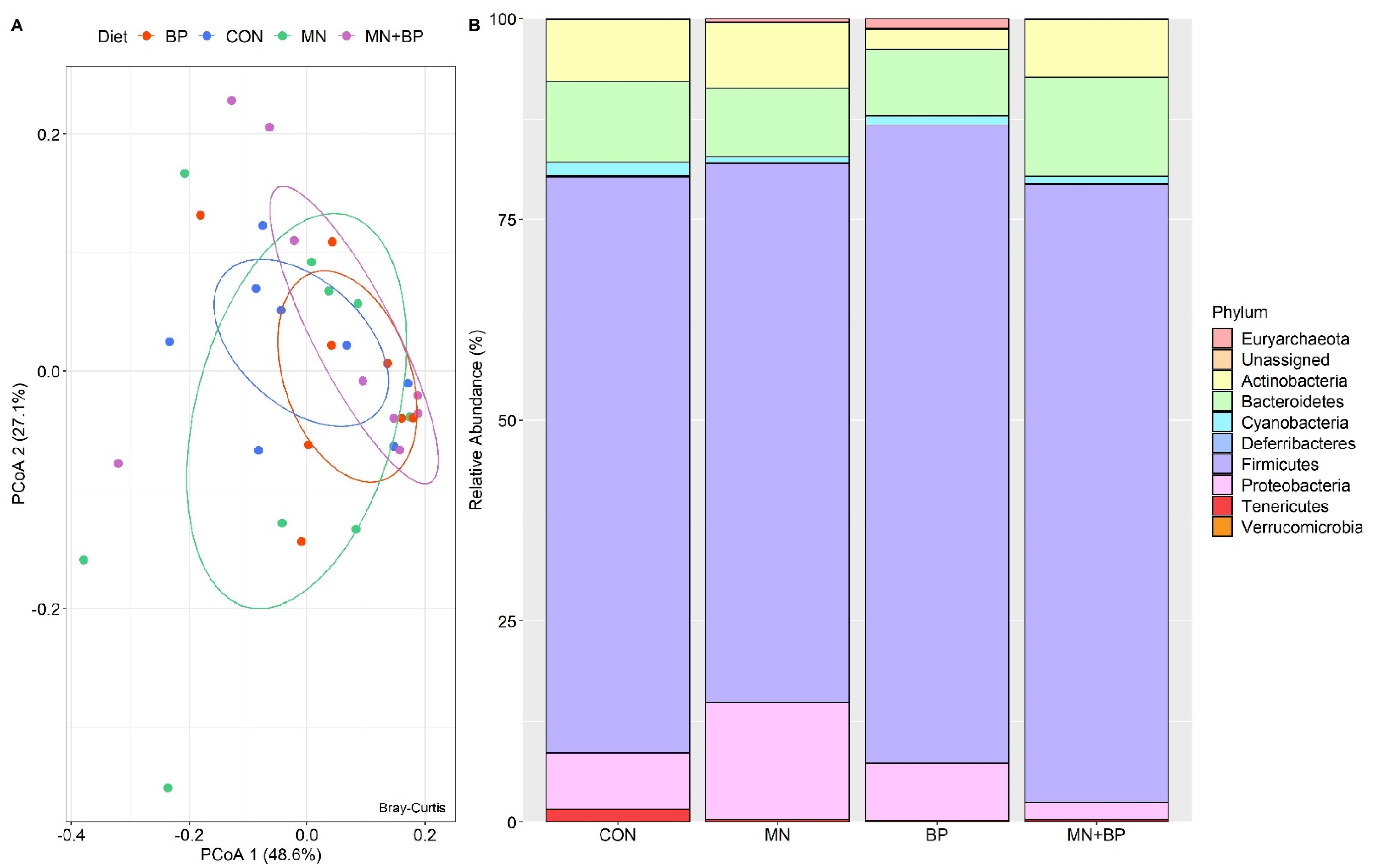 Productive Performance and Cecum Microbiota Analysis of Broiler ...