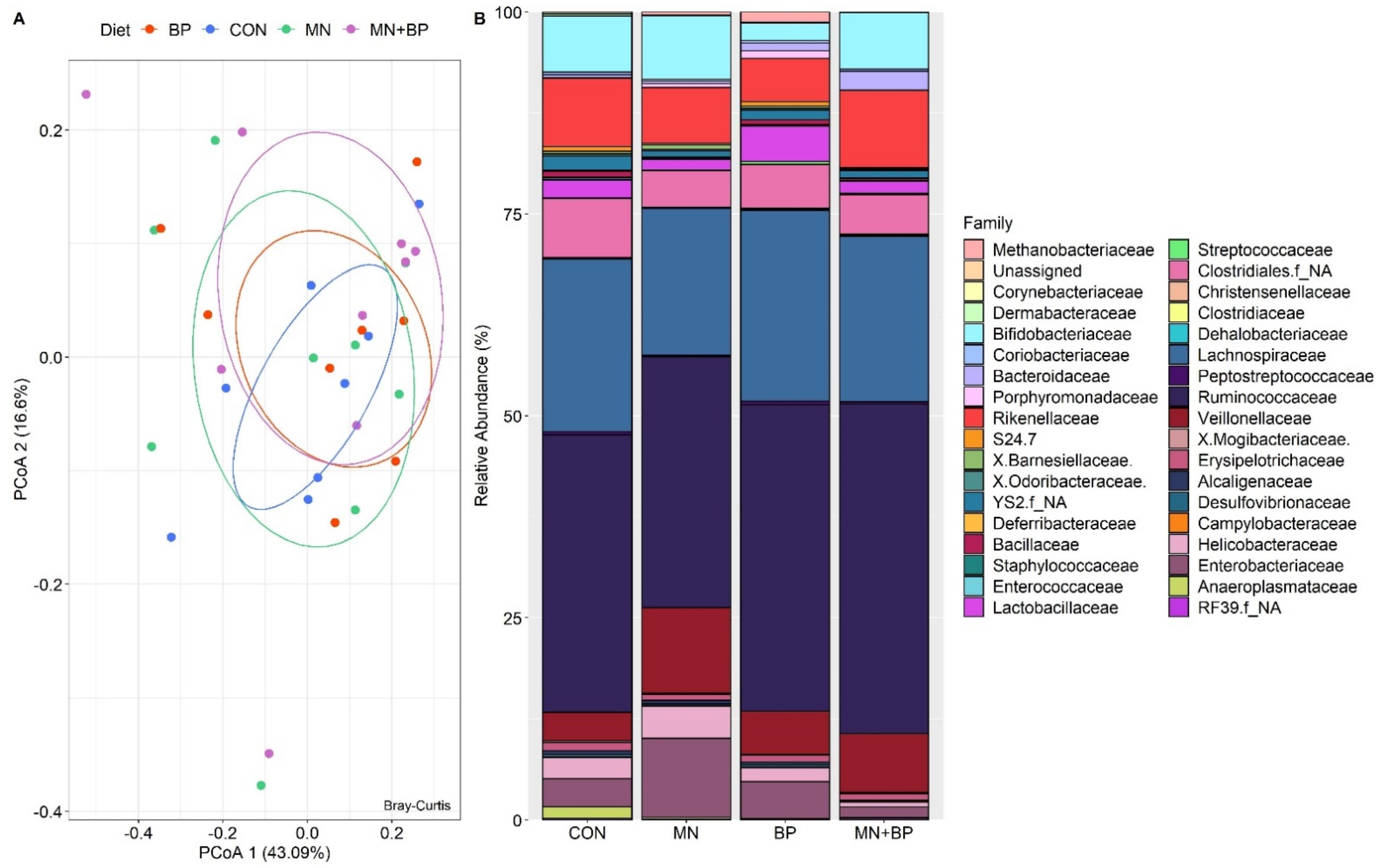 Productive Performance and Cecum Microbiota Analysis of Broiler ...