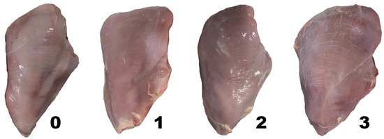Animals | Special Issue : Poultry Production: Factors Affecting Meat ...